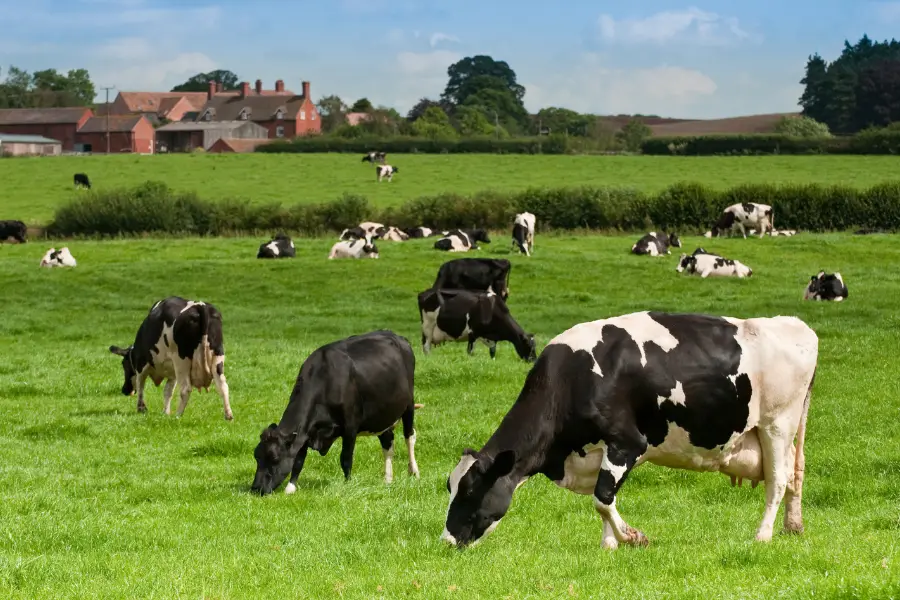 Farm finance - mid-2026 outlook update • R&BS
